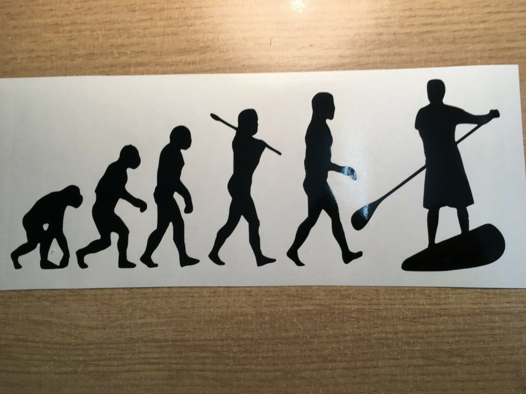 Evolution Paddle board, Beach,car,van, Bumper Sticker / Decal – GM Decals